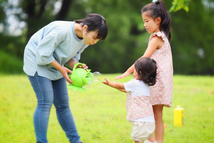 システムと料金 – TRIPUS